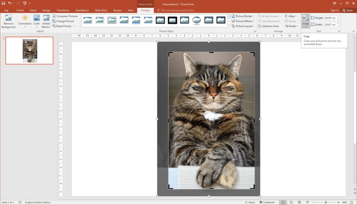 3 Simply Ways of Image Cropping in PowerPoint - PoweredTemplate Blog