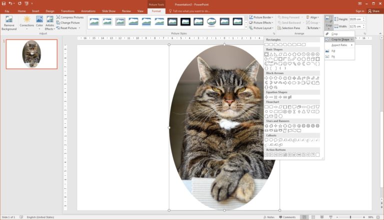3 Simply Ways of Image Cropping in PowerPoint - PoweredTemplate Blog