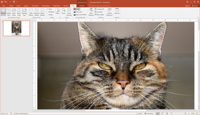 3 Simply Ways of Image Cropping in PowerPoint - PoweredTemplate Blog