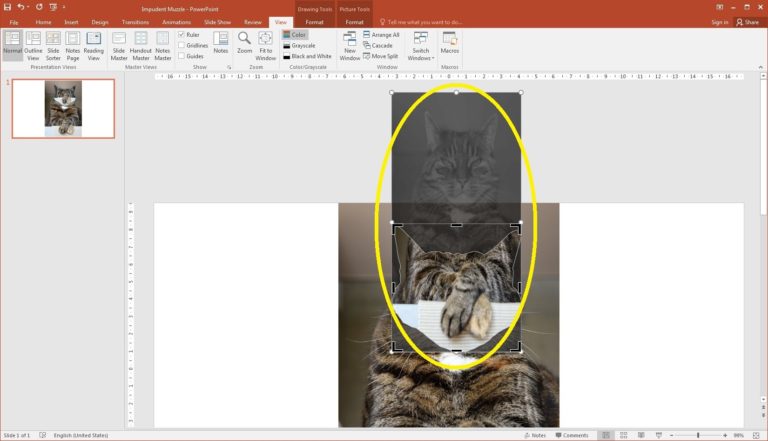 3 Simply Ways of Image Cropping in PowerPoint - PoweredTemplate Blog