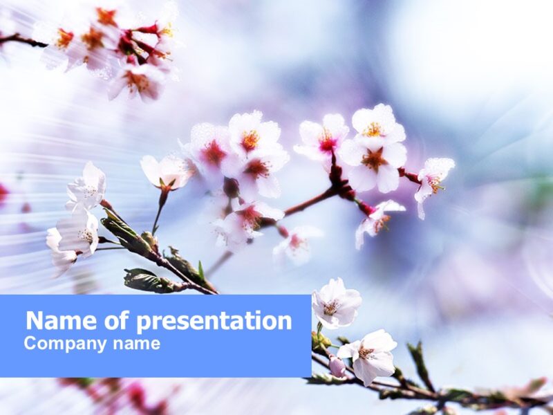 20 Free Spring Presentation Templates - PoweredTemplate Blog