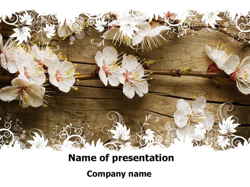20 Free Spring Presentation Templates - PoweredTemplate Blog