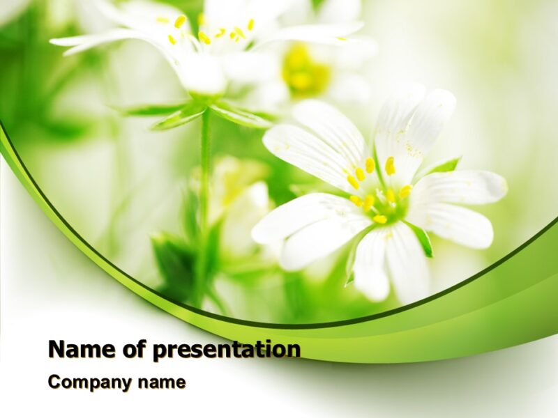 20 Free Spring Presentation Templates - PoweredTemplate Blog