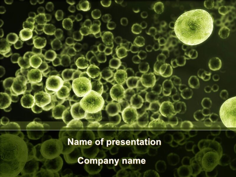 20 Free Bacteria Presentation Templates - PoweredTemplate Blog